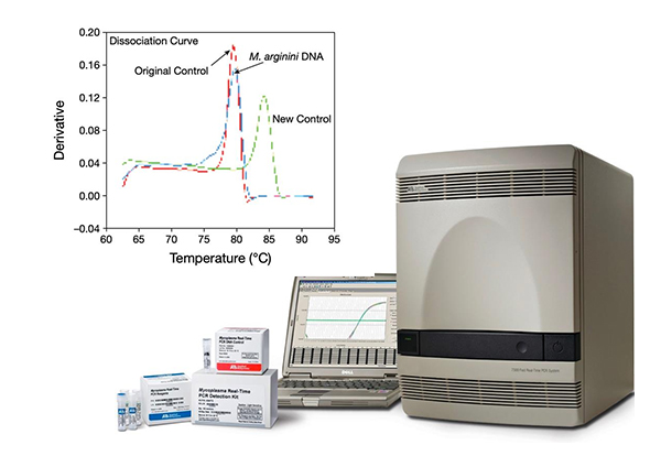 赛默飞支原体检测试剂盒-上海玮驰